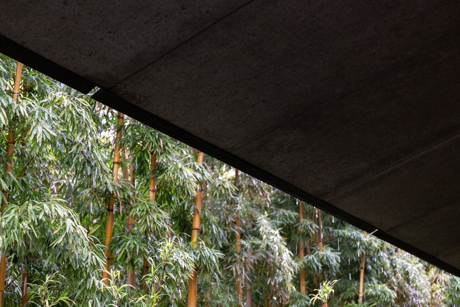 Nezu Museum (根津美術館) by Kengo Kuma (隈研吾) | Francis Wu Architectural ...